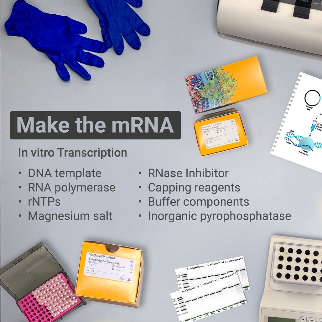 Custom in vitro Transcription Reagents for Manufacturing RNA ...