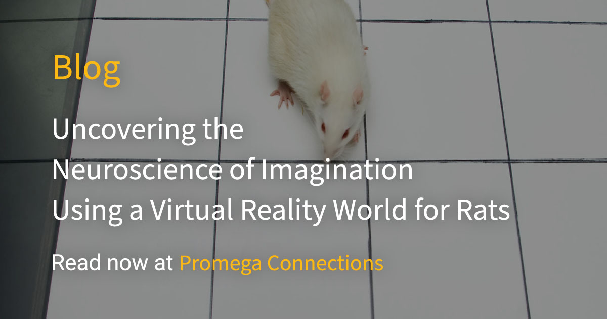 Uncovering the Neuroscience of Imagination Using a Virtual Reality ...