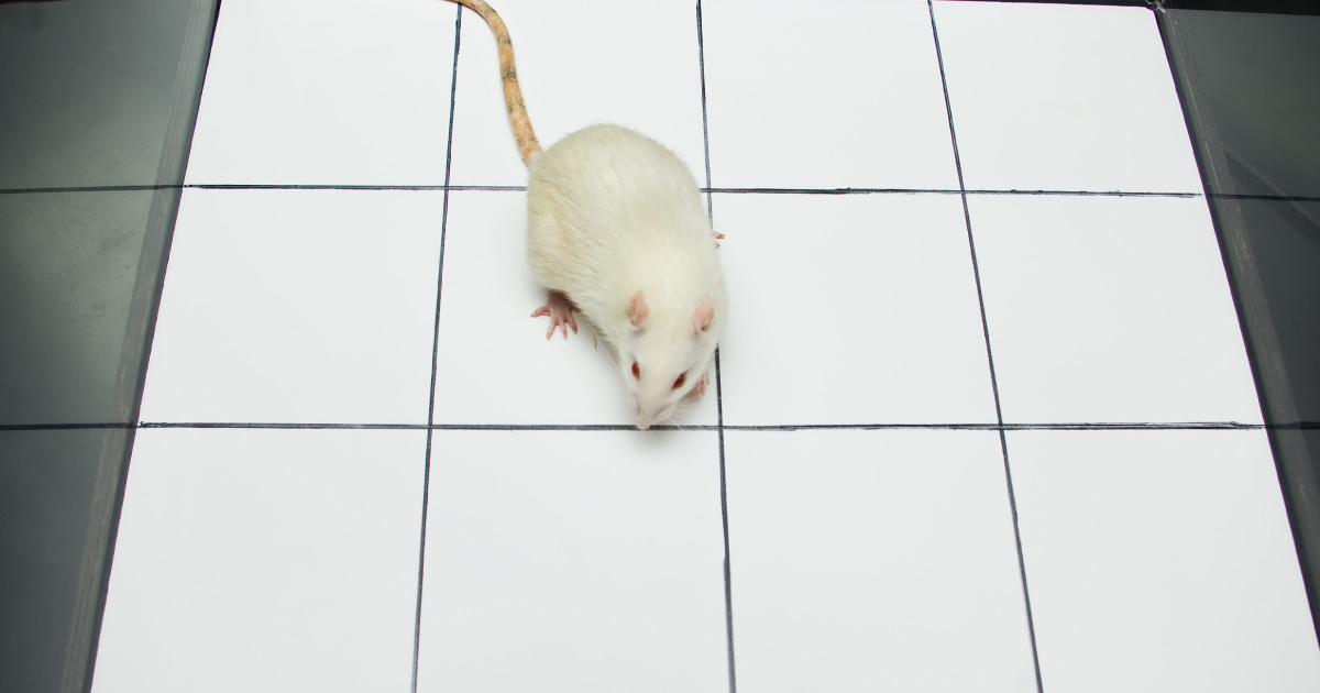 Uncovering the Neuroscience of Imagination Using a Virtual Reality ...