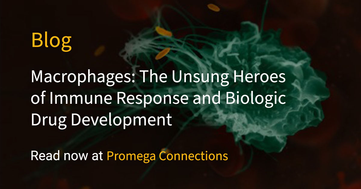 Macrophages: The Unsung Heroes of Immune Response and Biologic Drug ...