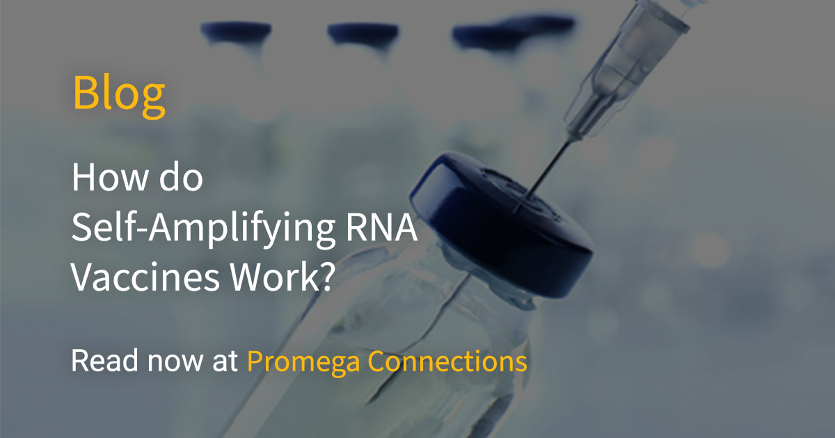 How Do Self Amplifying Rna Vaccines Work Promega Connections