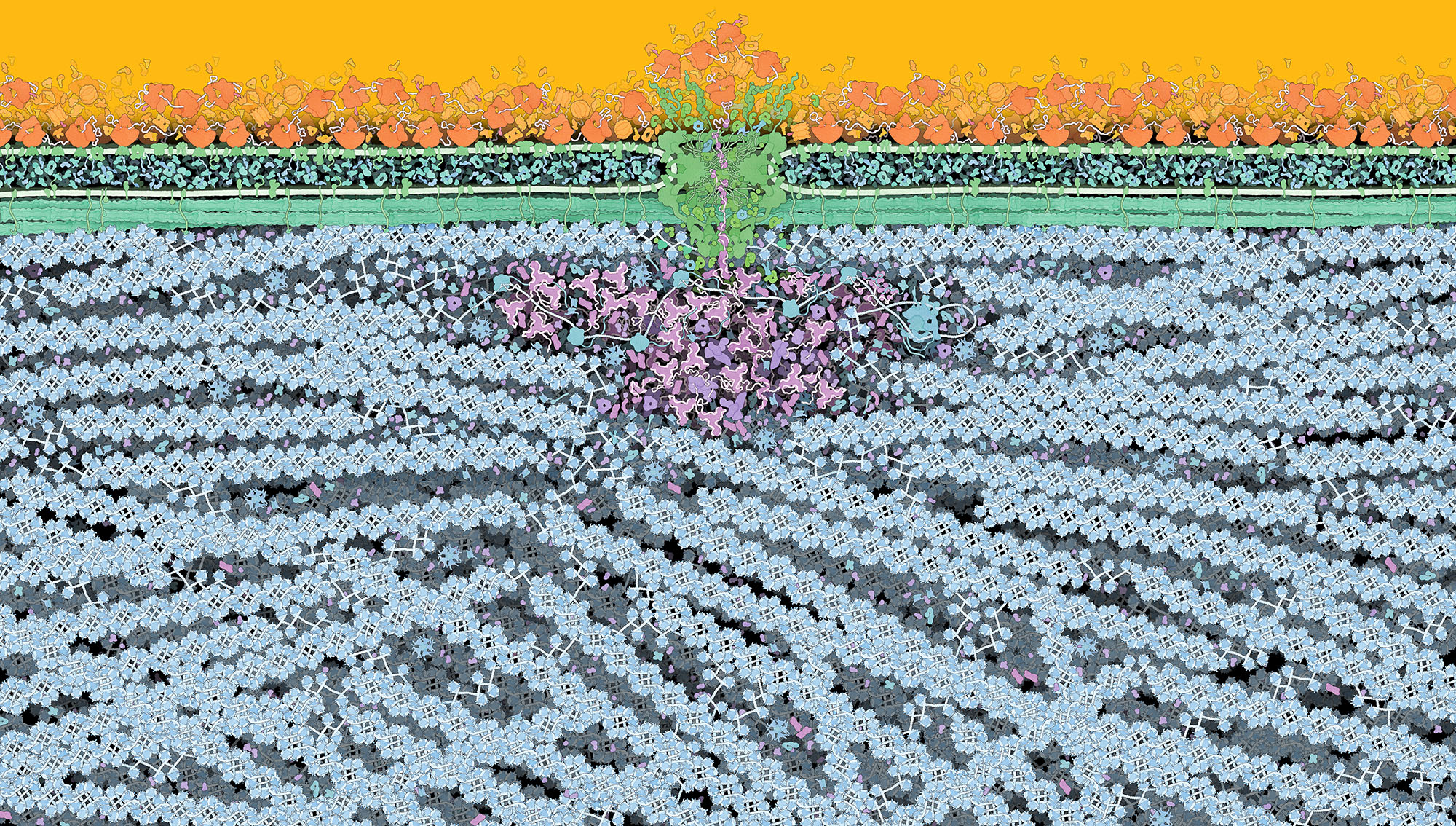 The Central Dogma of Promega: The Story and Science Behind Our Kit ...