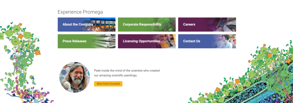 The Central Dogma of Promega: The Story and Science Behind Our Kit ...