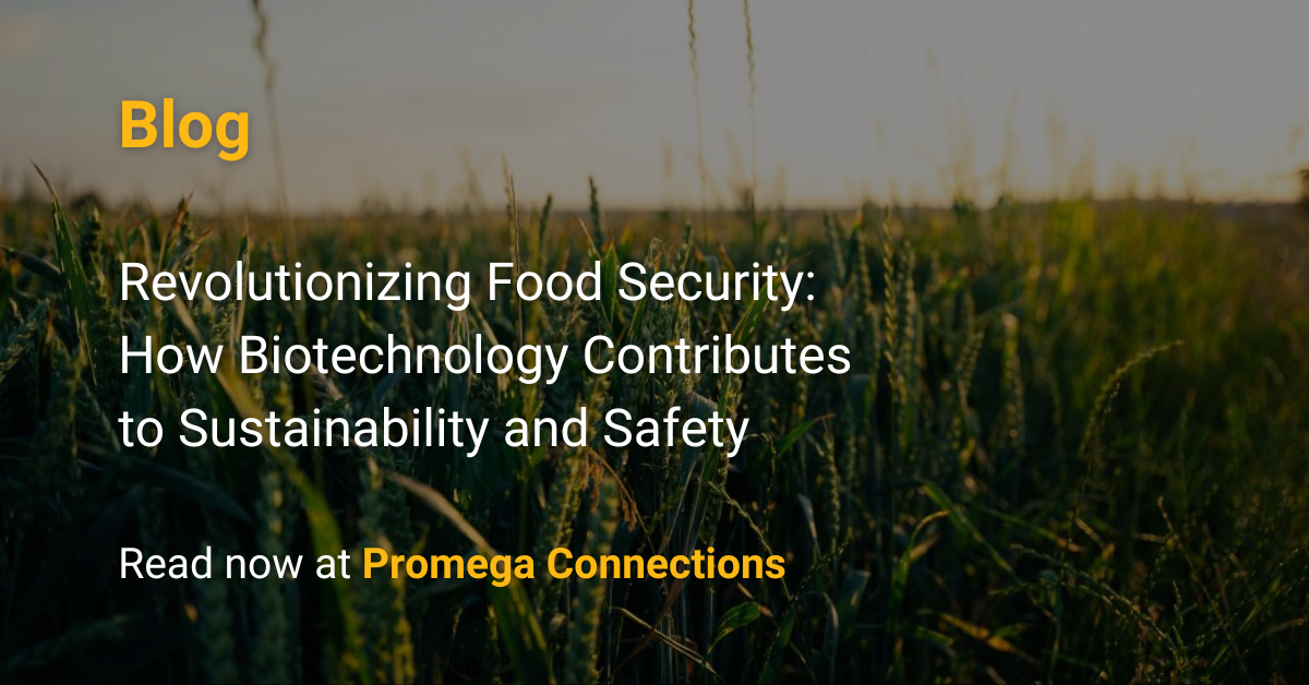 Revolutionizing Food Security: How Biotechnology Contributes to ...
