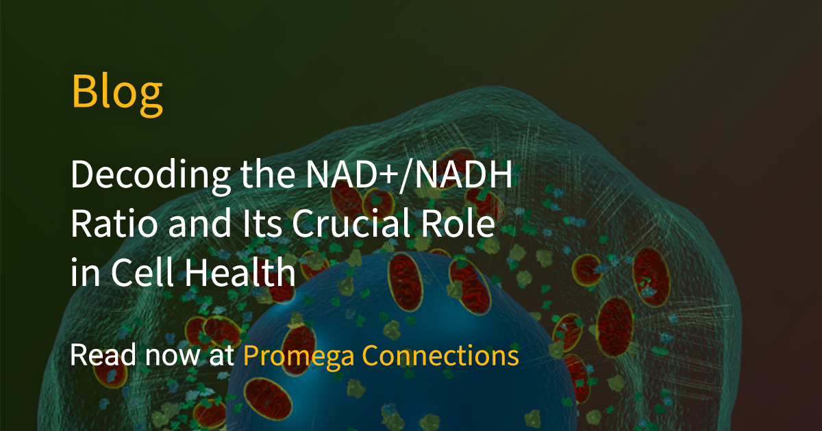 Decoding the NAD+/NADH Ratio and Its Crucial Role in Cell Health ...
