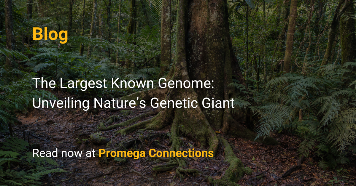 The Largest Known Genome: Unveiling Nature’s Genetic Giant - Promega ...