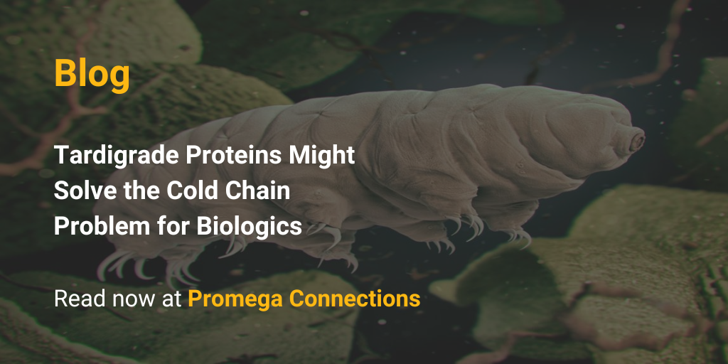 Tardigrade Proteins Might Solve the Cold Chain Problem for Biologics ...