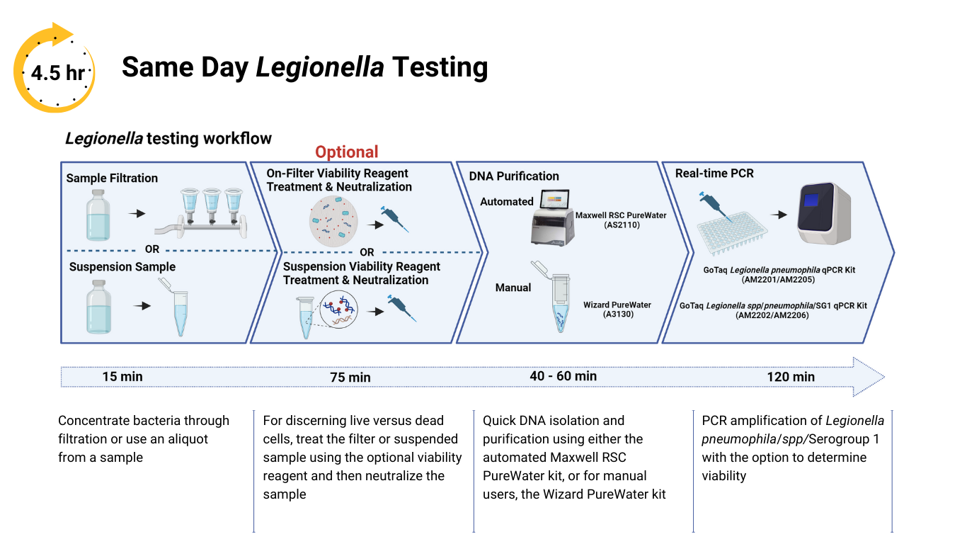 Understanding and Combating Legionella in Water Systems with Viability ...