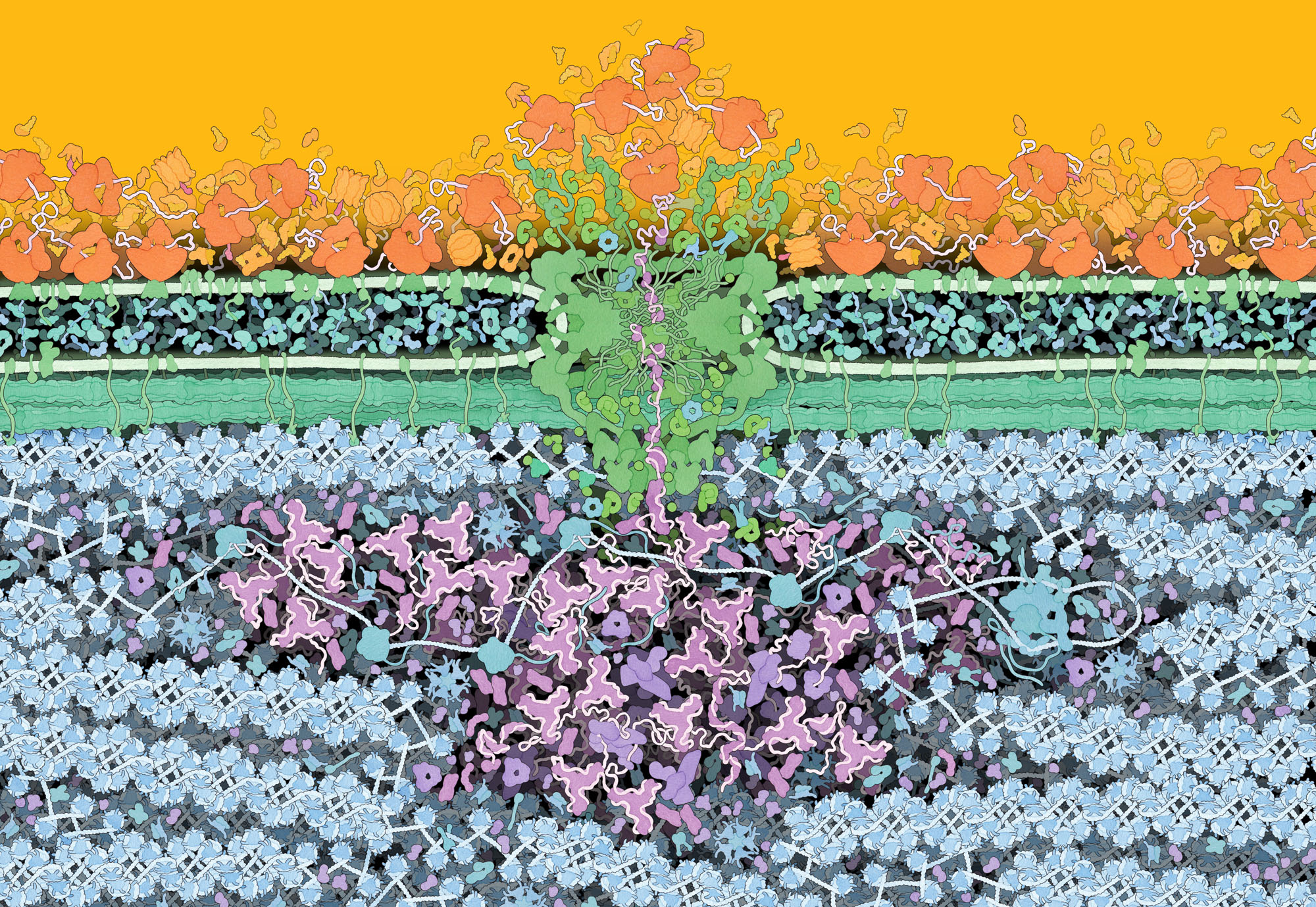Bringing Science to Life: How Art and Sustainability Shape Our New ...