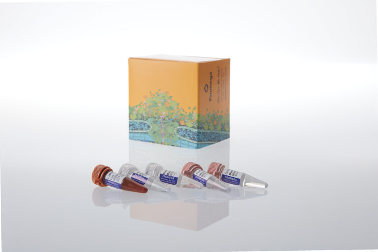 Overcoming qPCR Inhibitors: Strategies for Reliable Quantification ...