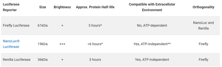 How to Choose a Luciferase Reporter Assay - Promega Connections