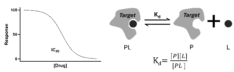 Exploring the Relationship Between IC50 and Kd in Pharmacology ...