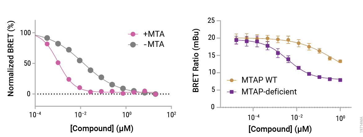 Measure Engagement to Target Proteins within Complexes: Why Context ...