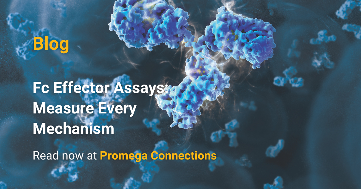 Promega Fc Effector Assays: Measure Every Mechanism - Promega Connections