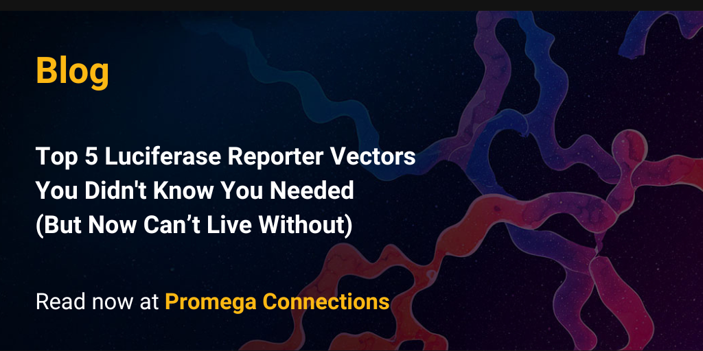 Top 5 Luciferase Reporter Vectors You Didn't Know You Needed (But Now ...
