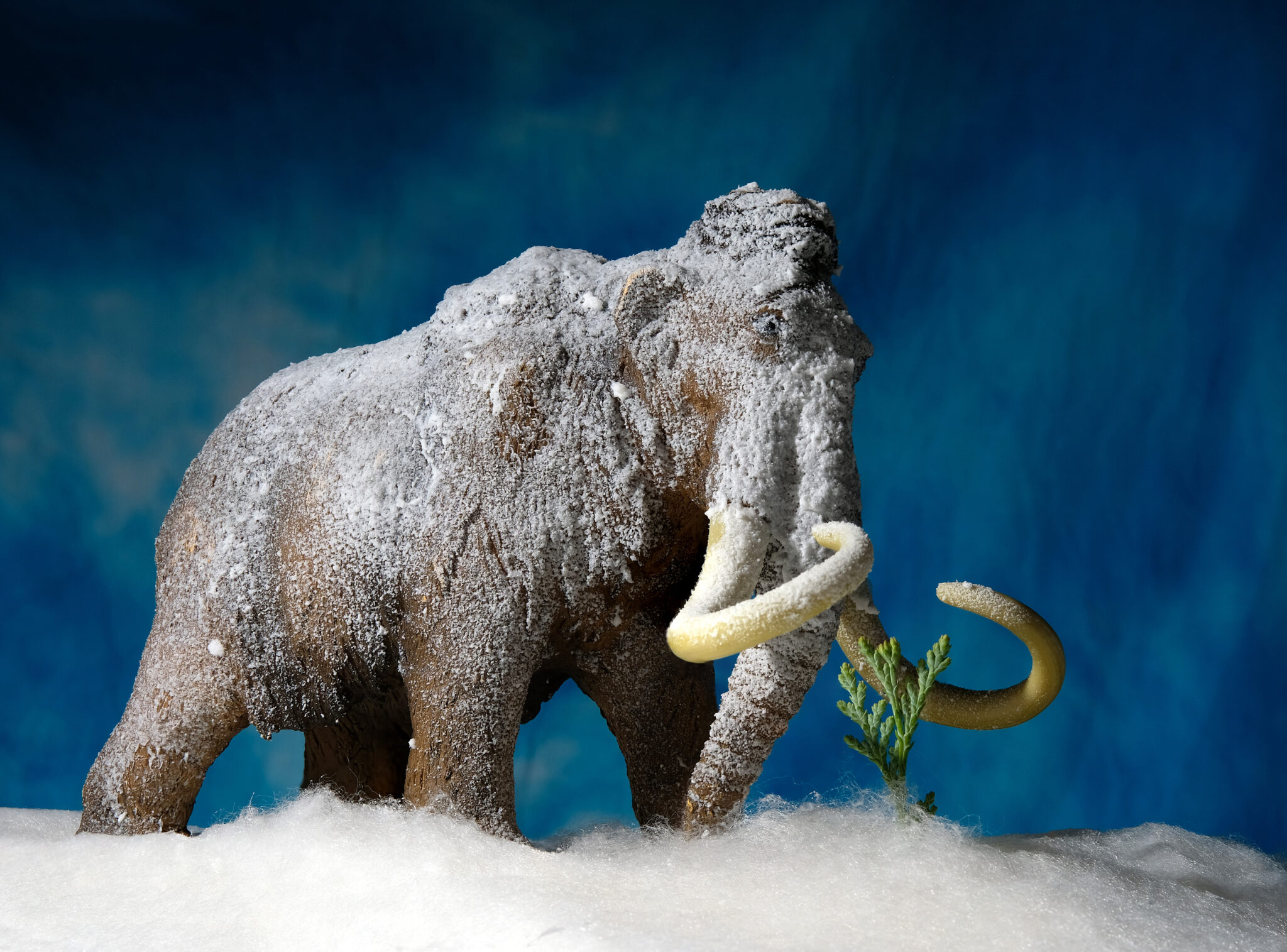 Ancient RNA From a Woolly Mammoth? - Promega Connections