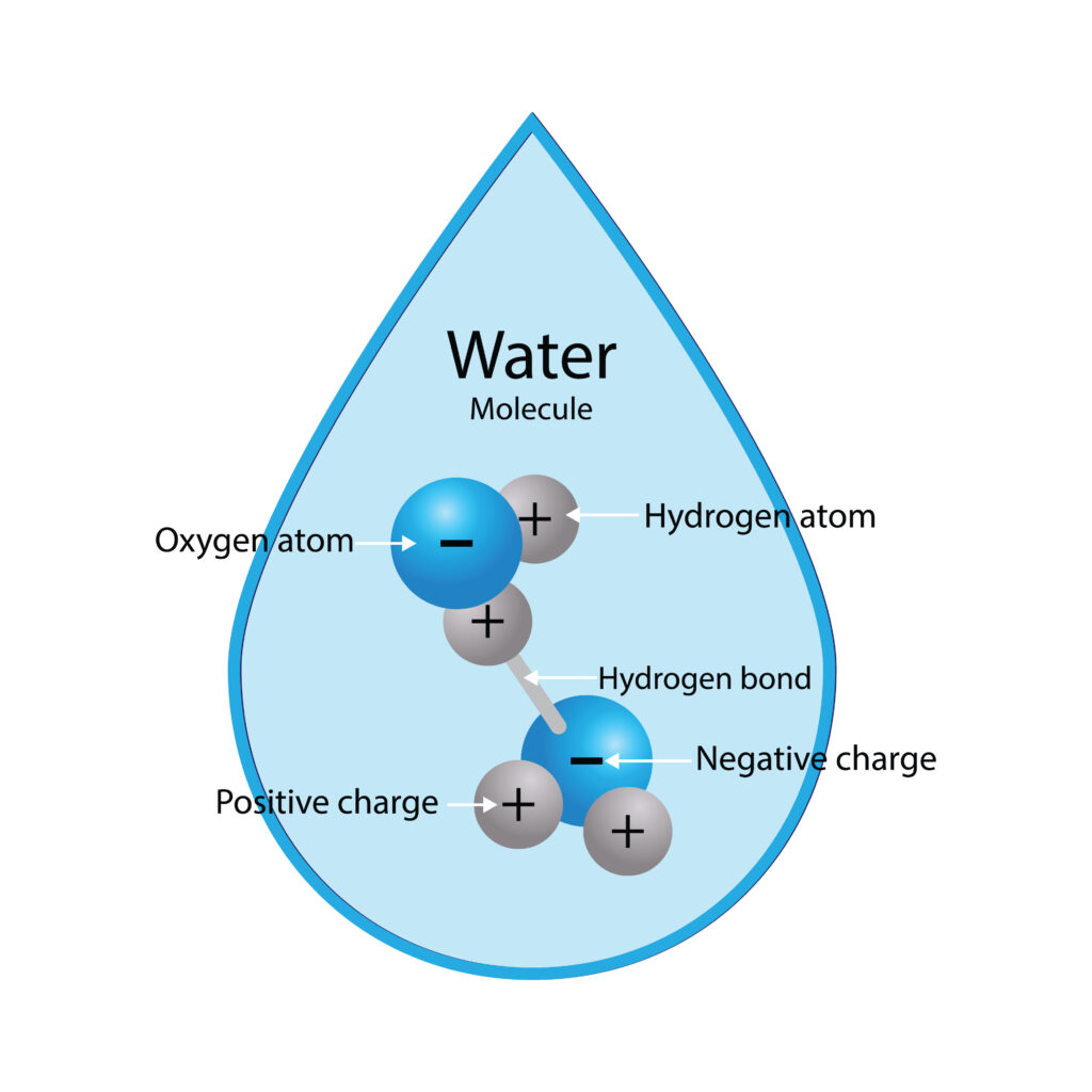 The Science of Slipping… Blame the Molecules! - Promega Connections